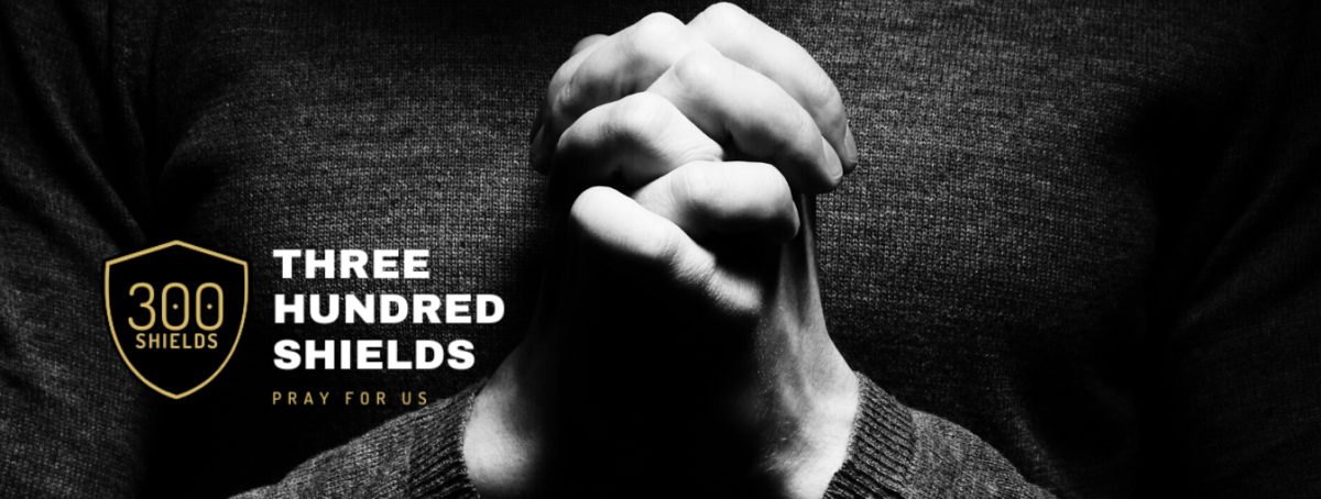 300 shields banner – TRIBE