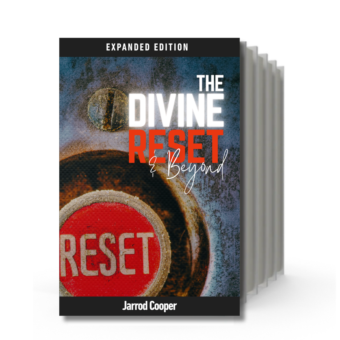 Small Group Courses – TRIBE